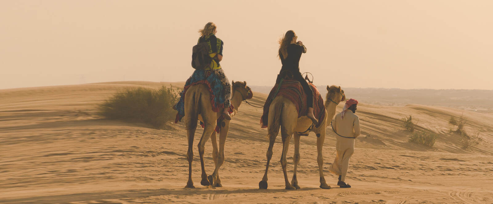 camel-safari-with-bbq-dinner-dubai | Camel Ride Tour Dubai - Camel Farm ...
